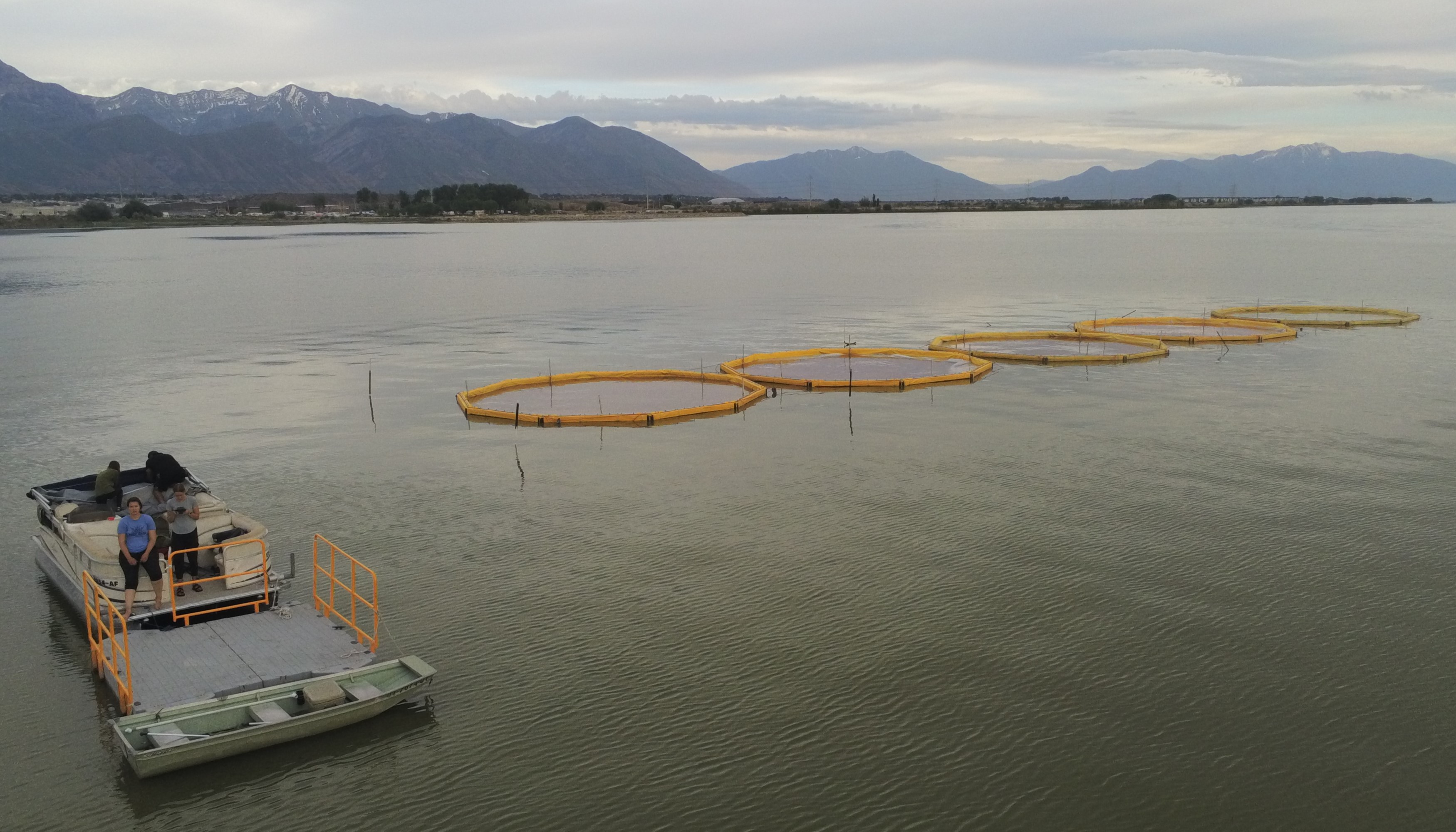 Utah Lake Nutrient Cycling Studies